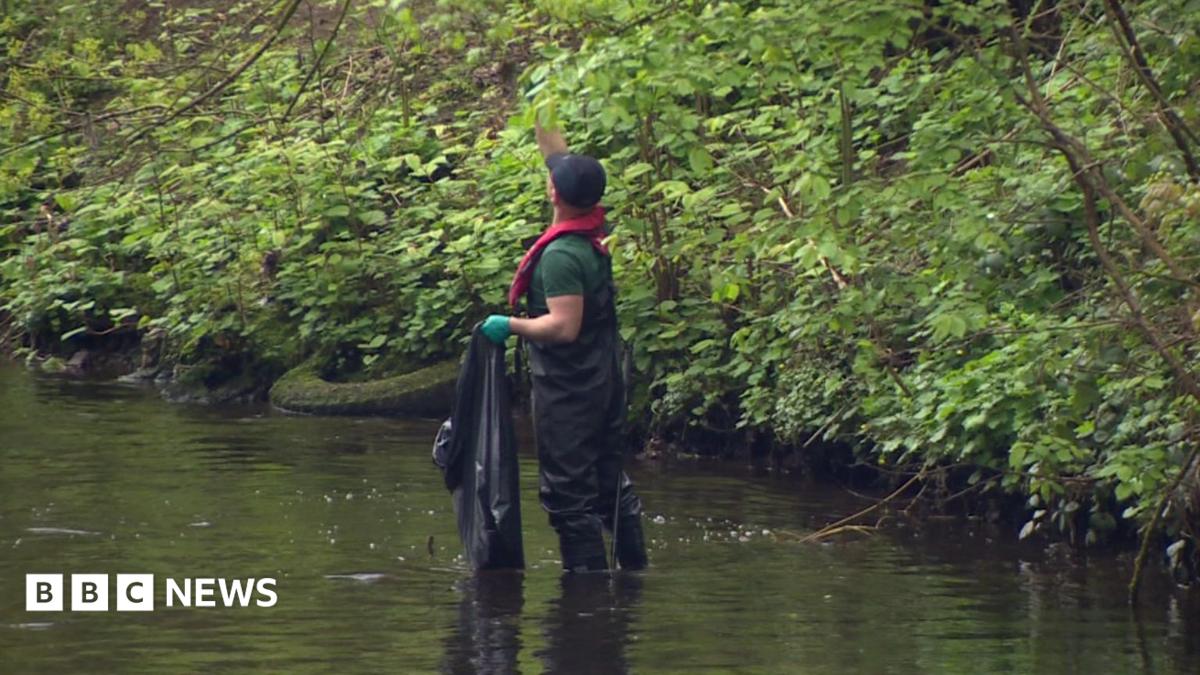 River Mersey rangers start water quality patrols - BBC News