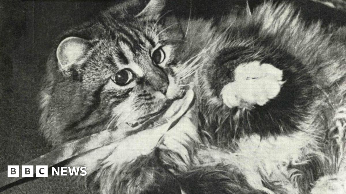 May Day: The cool cats that fought for workers' rights - BBC News