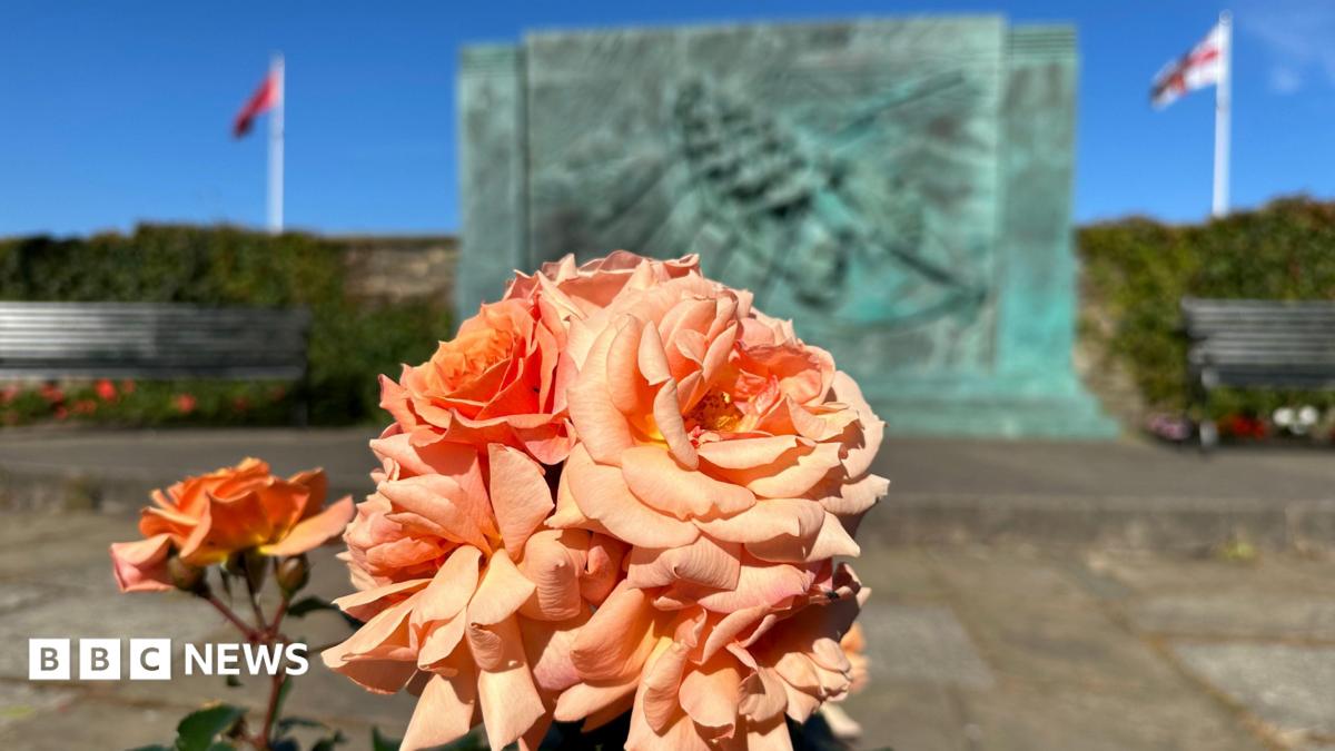Roses mark capital's RNLI link in 200th anniversary year - BBC News