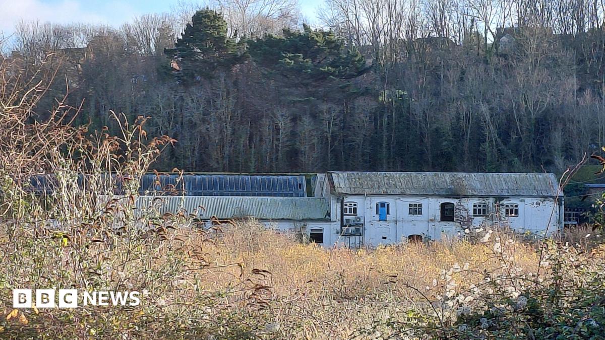 Group hopes to build affordable homes at Watchet's old paper mill - BBC ...