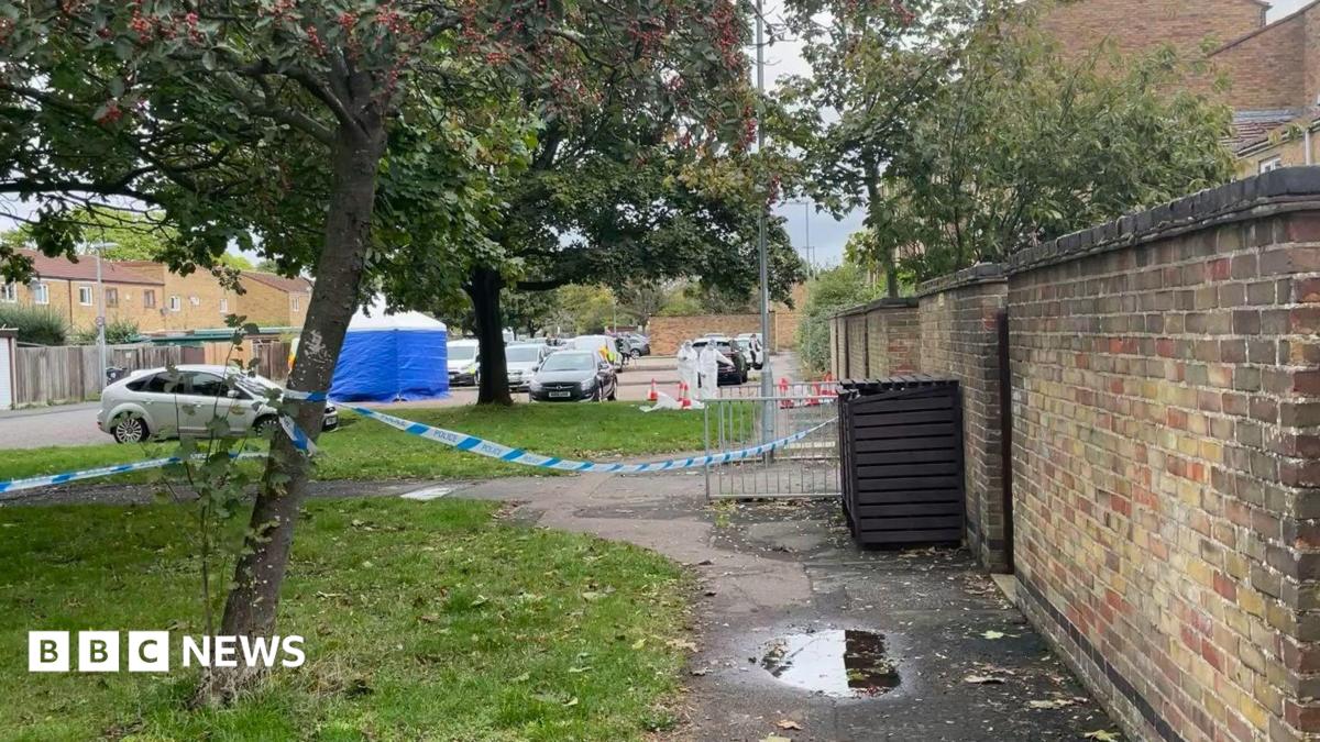 Man has 'life-threatening' injuries after stabbing in Cambridge - BBC News