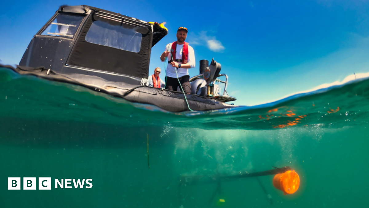 Underwater camera survey finds Scilly seas buck national trend - BBC News