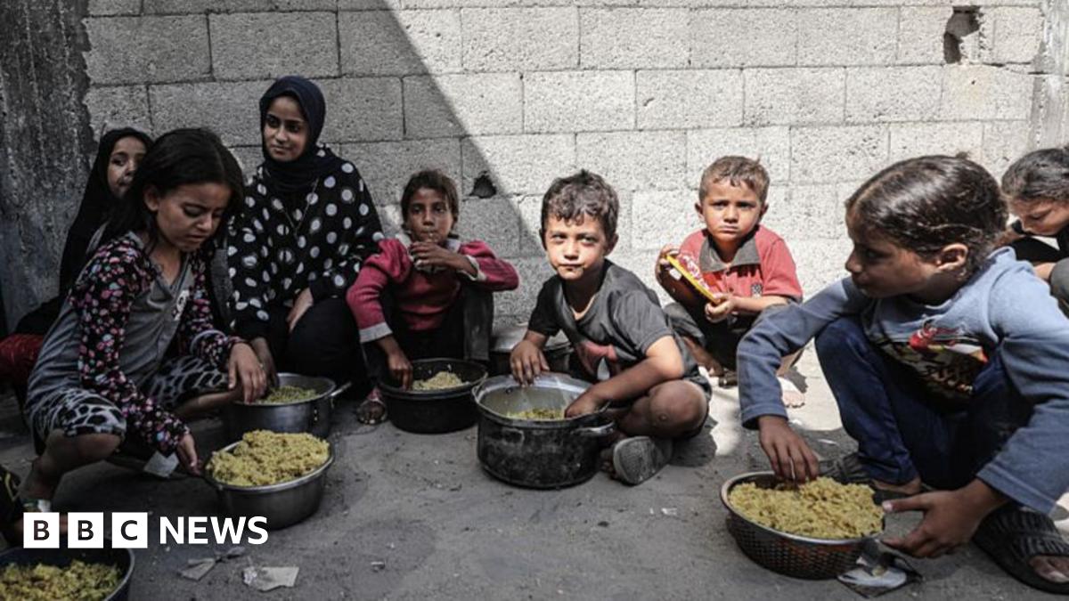 Gaza health crisis will last for 'generations', WHO chief warns - BBC News