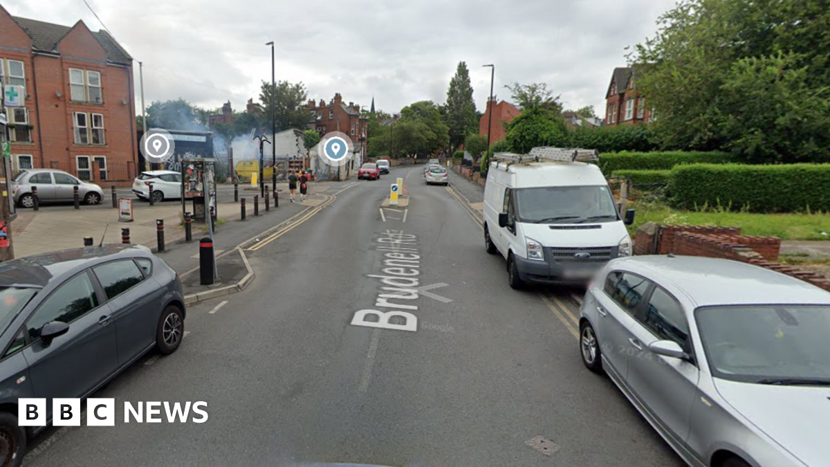 Leeds: Bulldog owner admits letting her dog bite postman - BBC News