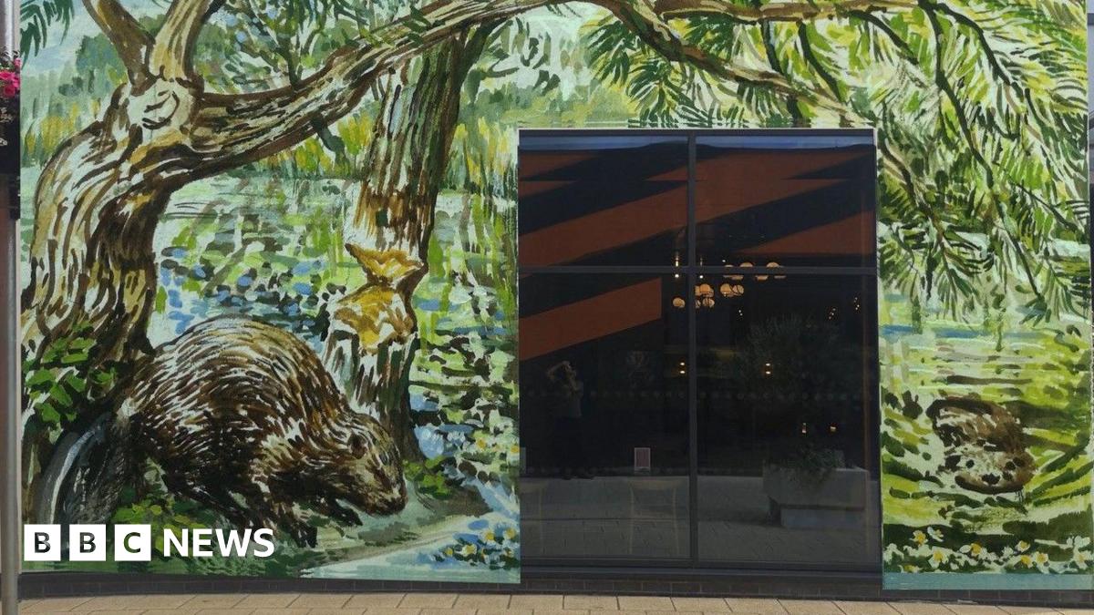 Beaver mural planned in Canterbury to mark species' comeback - BBC News
