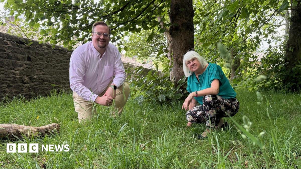 Council to extend 'no mow' regime to more High Peak areas - BBC News