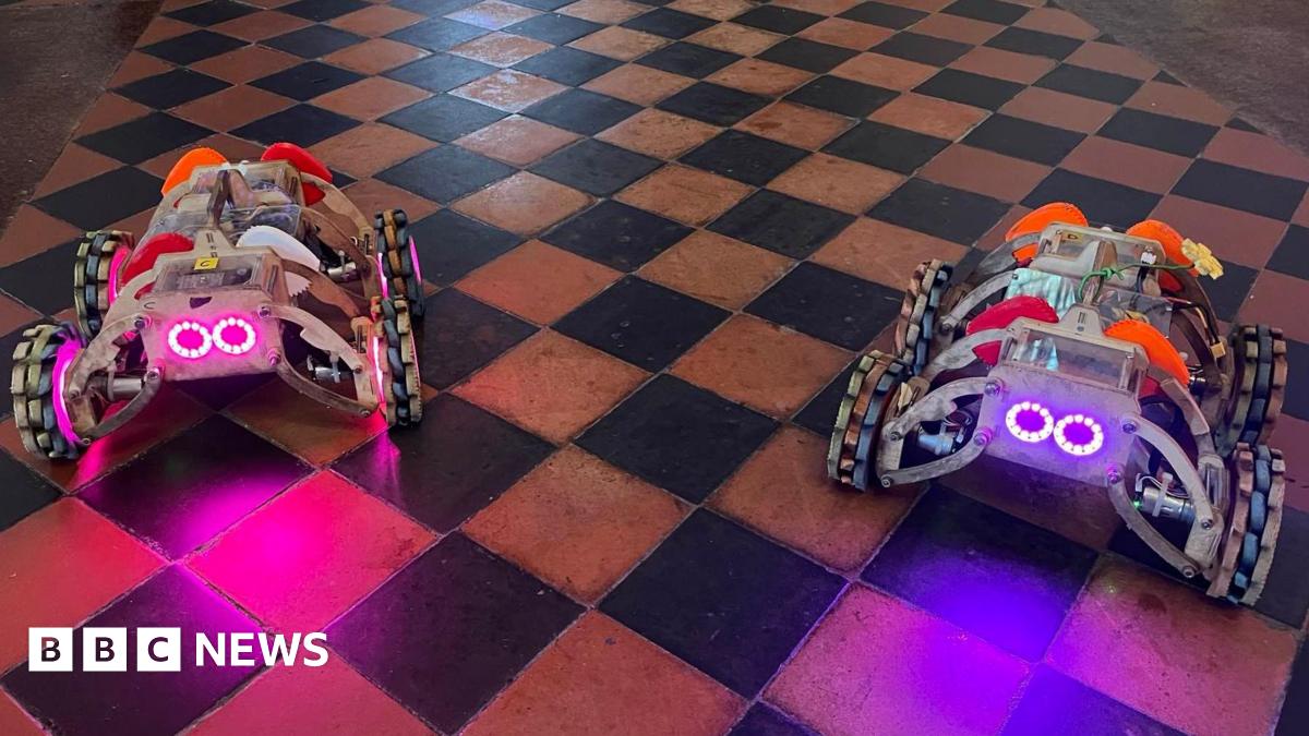 Kent: Animal robots give Gravesend a taste of the future - BBC News