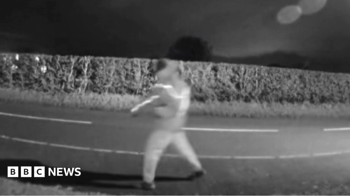 Oswestry police issue appeal after racist graffiti sprayed on home ...