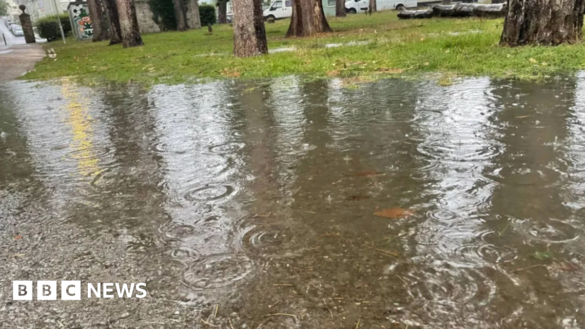 Firm aims to reduce River Plym flooding risks - BBC News