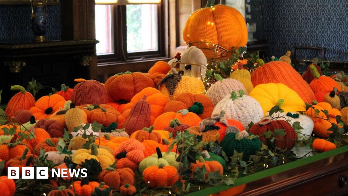 Seven hundred knitted pumpkins go on display at Charlecote Park - BBC News