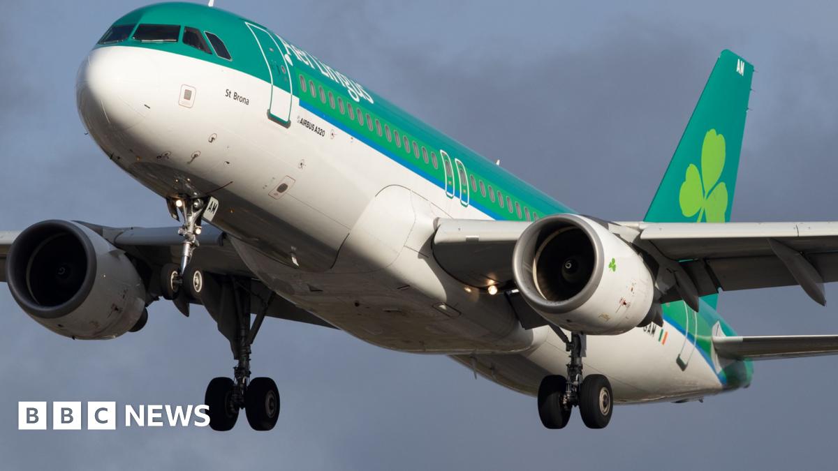 Aer Lingus: New York-Dublin flight in U-turn after technical issue - BBC News