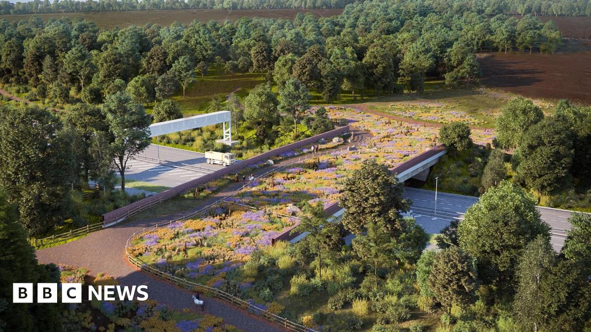 A3 in Surrey reopens following weekend closure - BBC News
