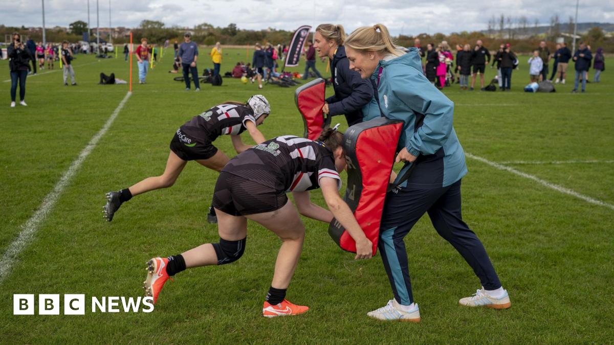 Wiltshire in Pictures: Red Roses in Melksham and perfect pups - BBC News