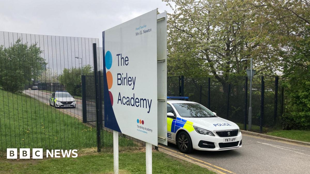 Birley Academy attack: Ex-pupil, 17, guilty of attempted GBH - BBC News
