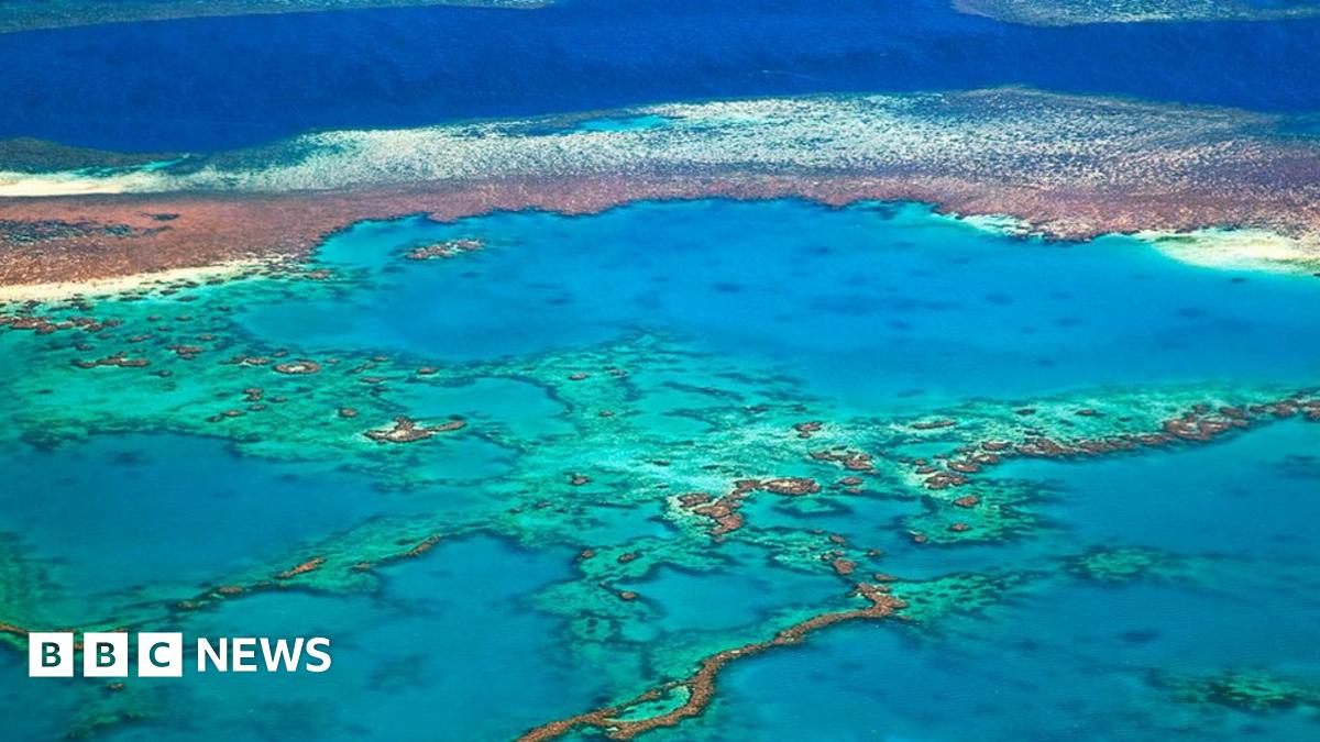 Why is the Great Barrier Reef in trouble? A simple guide - BBC News