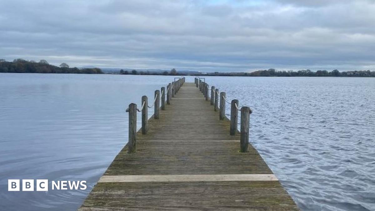 Lough Neagh: Too soon to tell ecological impact of algal blooms ...