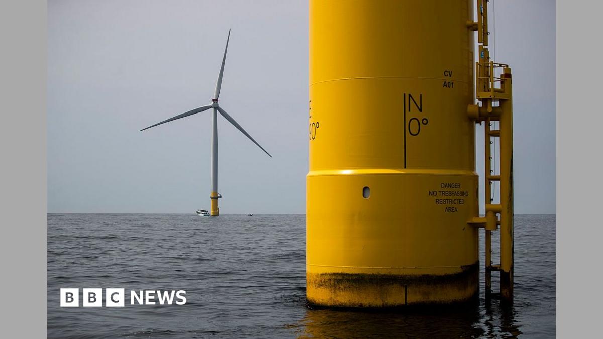 US pauses offshore wind projects over national security concerns - BBC News