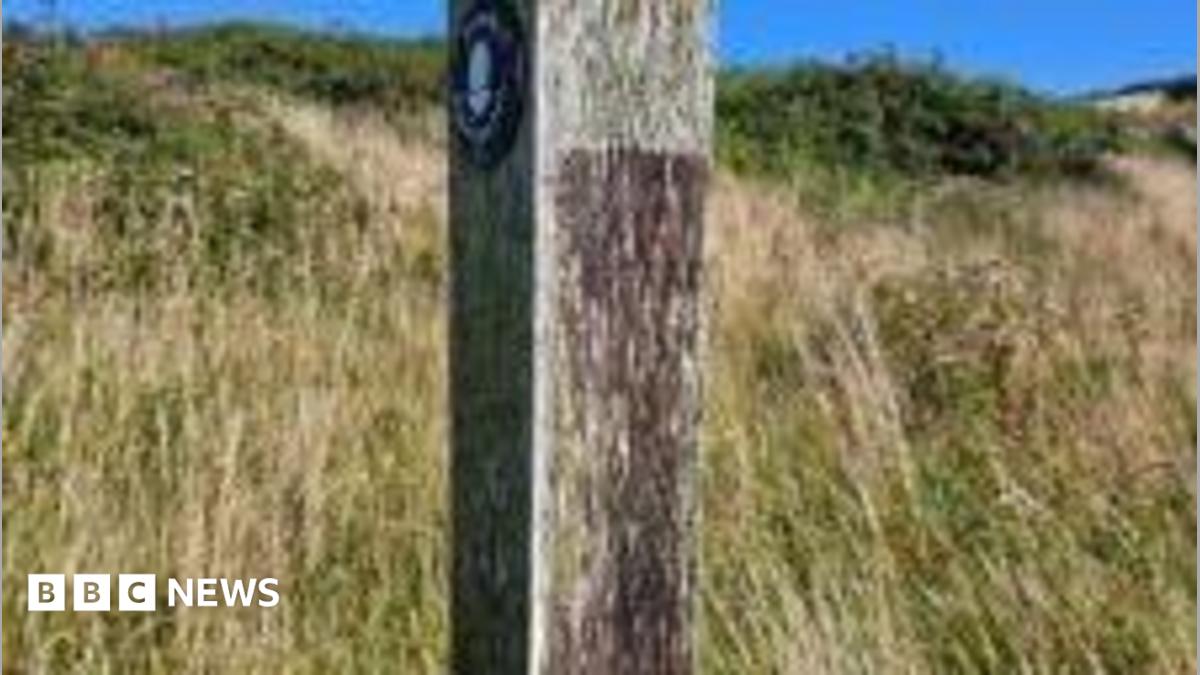 South Downs: East Sussex trail damaged in 'targeted attack' - BBC News