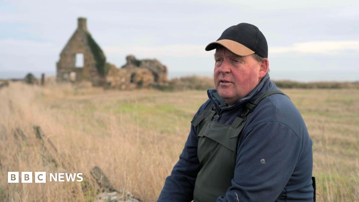 I paid scammers thousands thinking they were my farm suppliers - BBC News