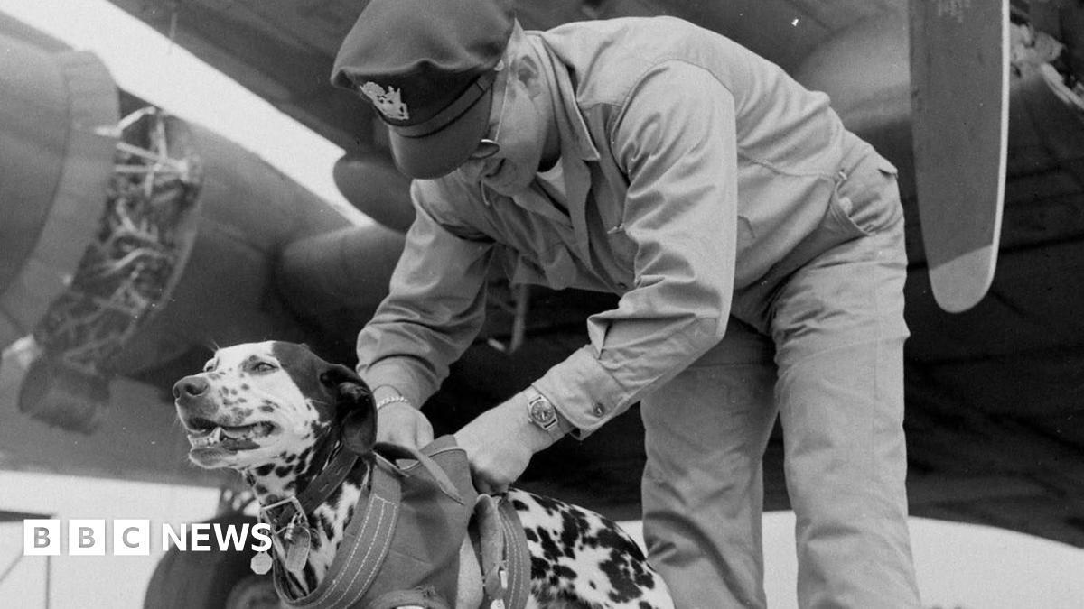 Carlton Scroop: Memorial to US airmen killed in mid-air collision - BBC ...