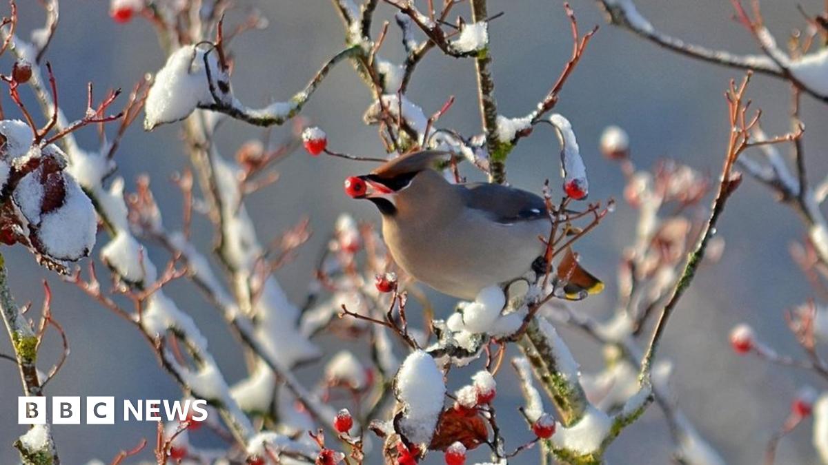 England's Big Picture: 27 November - 3 December 2023 - BBC News