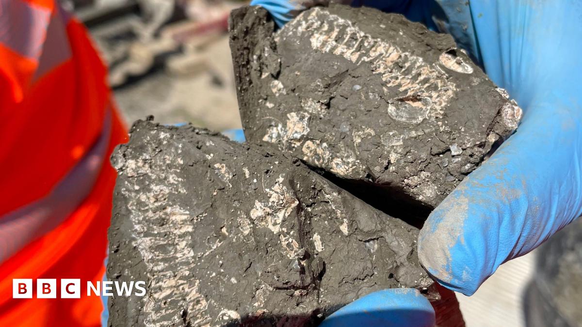 Jurassic finds during East West Rail work in Cambridgeshire - BBC News
