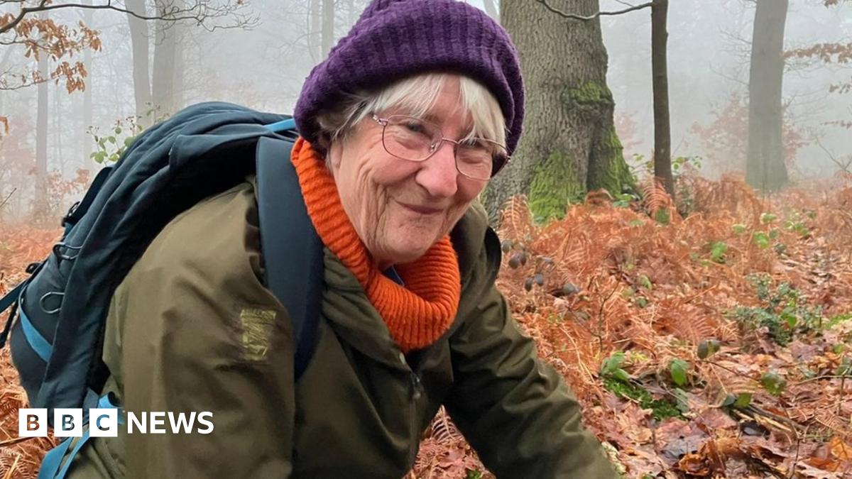 Plea for rare insect sightings in Worcestershire from wildlife group ...