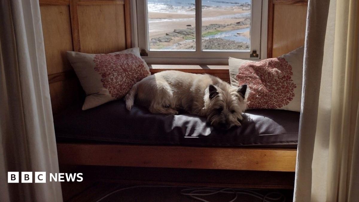 Your pictures of Scotland: Photographs from around the country - BBC News