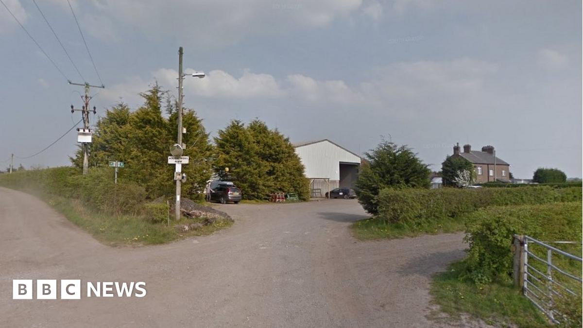 St Helens fire: Horses die after barn blaze - BBC News