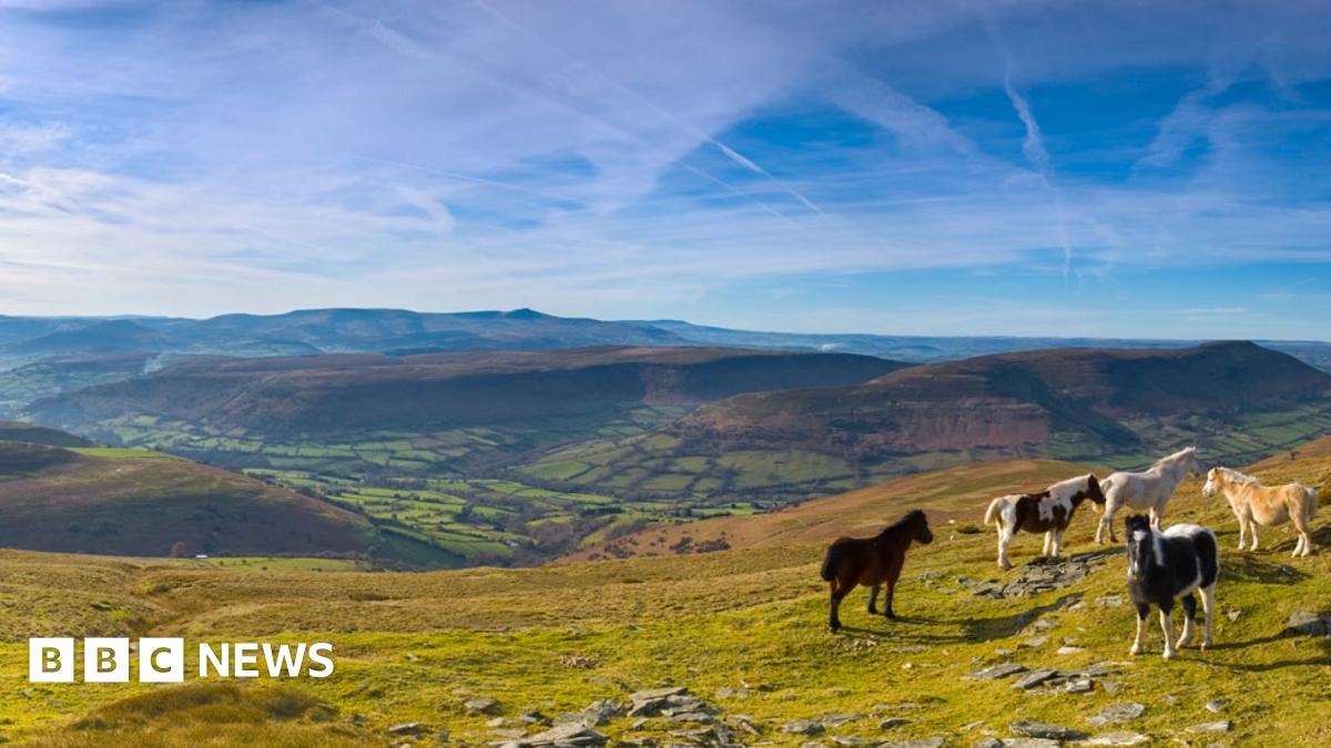 Devolution: What is the impact on Wales' environment? - BBC News