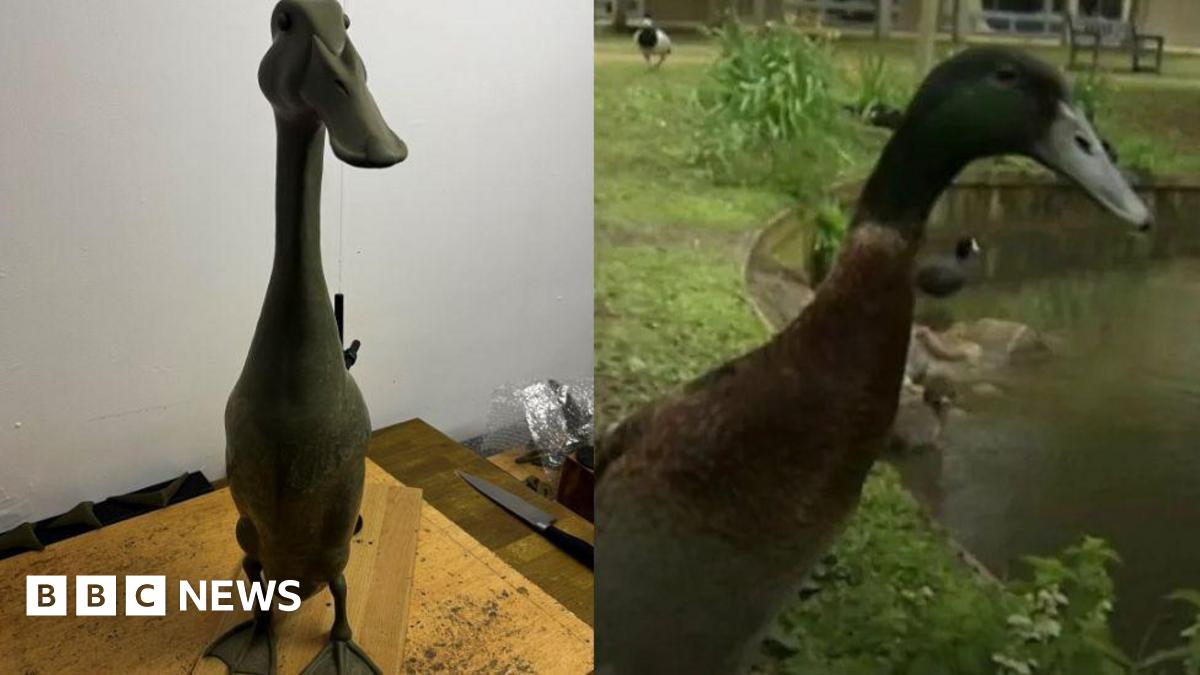 Long Boi: First look at sculpture of University of York duck - BBC News
