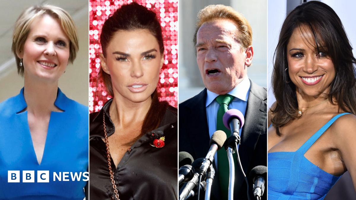 Cynthia Nixon and 10 other celebrities who entered politics - BBC News