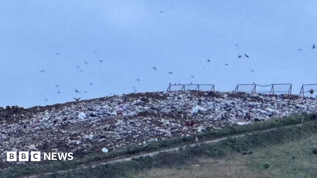 Landfill use to end in Essex next year, council says - BBC News