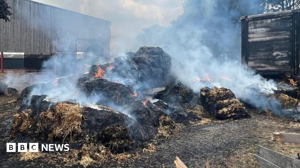 Essex and Suffolk crews tackle straw fire in Stoke-by-Nayland - BBC News