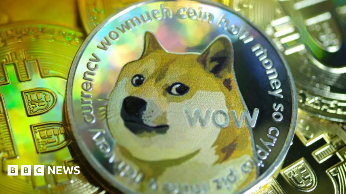 Kabosu dies: Shiba inu dog was meme and face of Dogecoin - BBC News