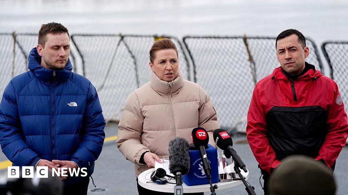 Denmark and Greenland show united front against US 'annexation' threats ...