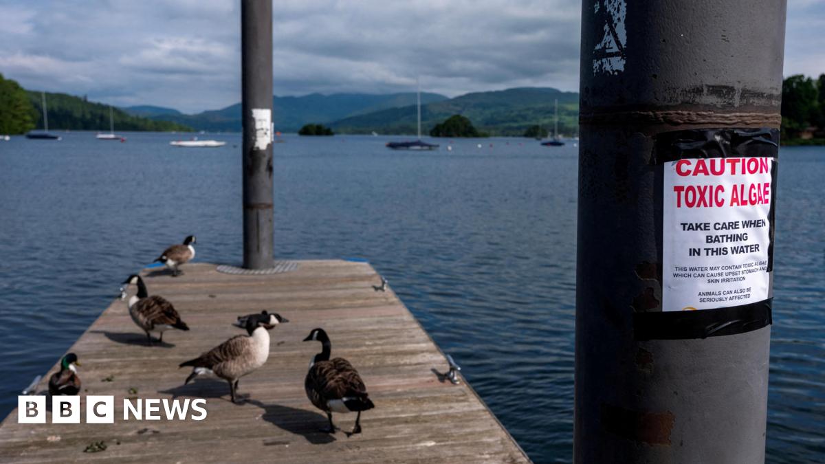 United Utilities drops fight for Windermere sewage data access - BBC News