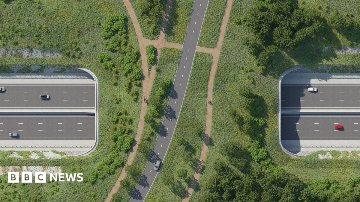 New images showcase Lower Thames Crossing between Kent and Essex - BBC News
