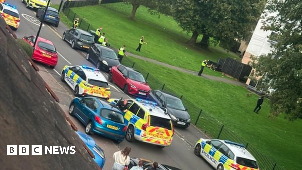 Two people injured in Coventry dog attack - BBC News