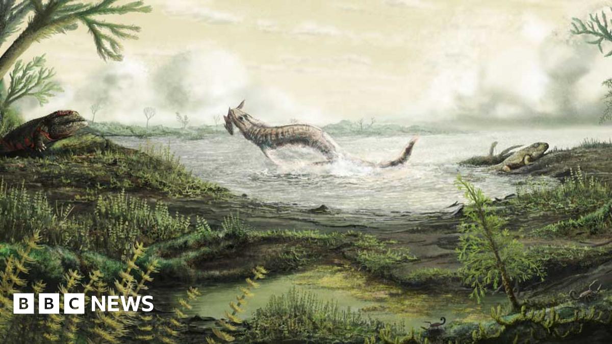 Scottish fossils tell story of first life on land - BBC News
