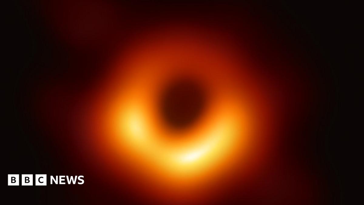 The big science and environment stories of 2019 - BBC News