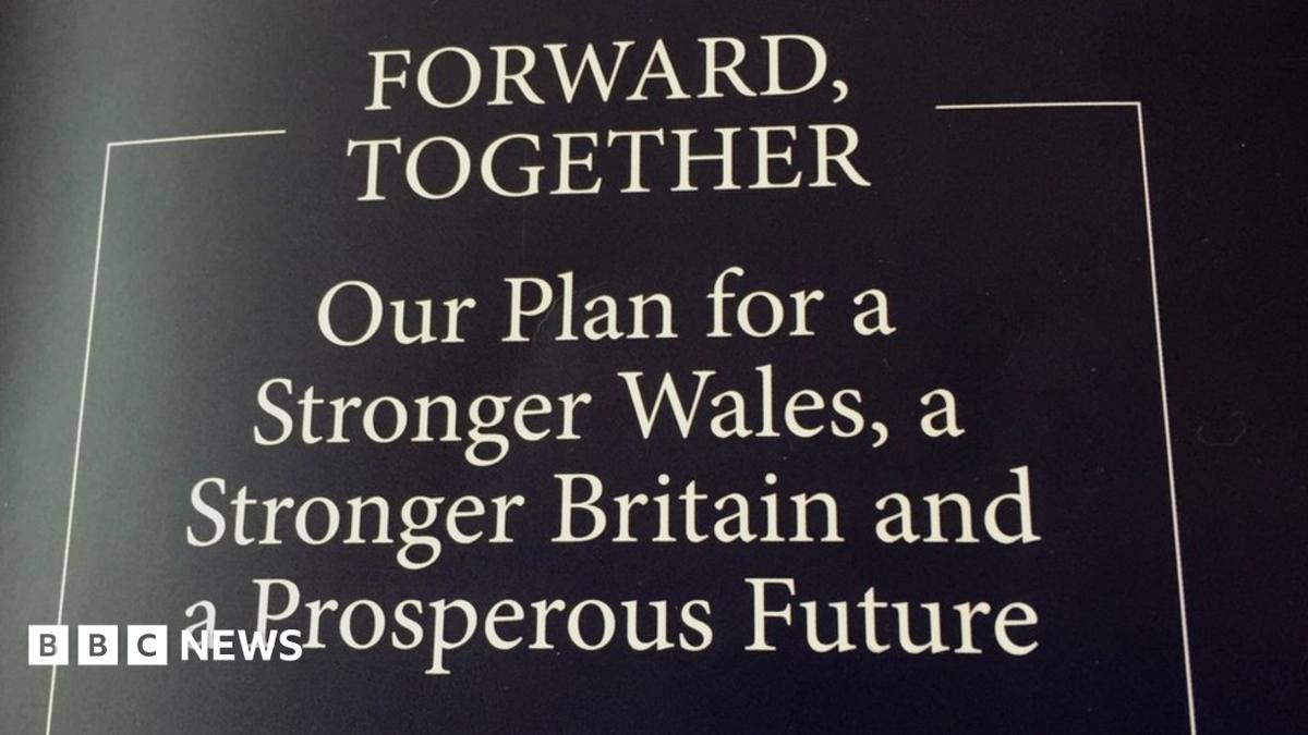 General Election 2017: Welsh Conservative manifesto at-a-glance - BBC News