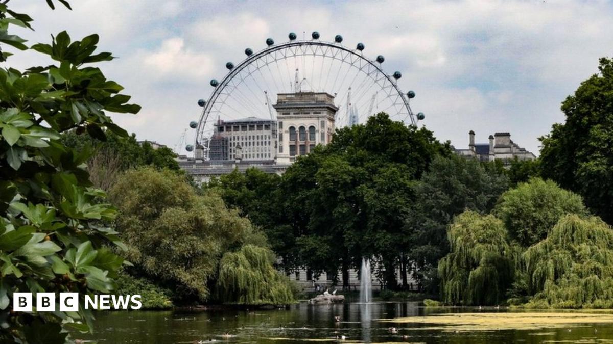 England's Big Picture: 19 - 25 June - BBC News