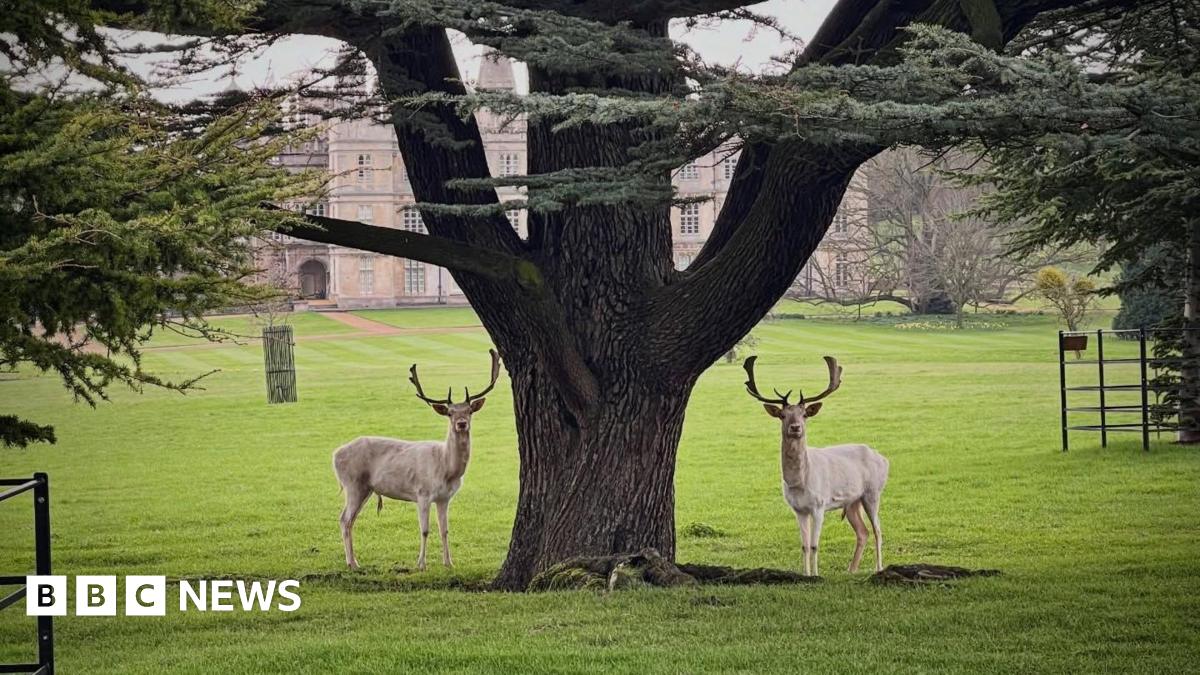 Boo! Hiss! Down with this type of thing! The SsC Frightfully Bad News ...