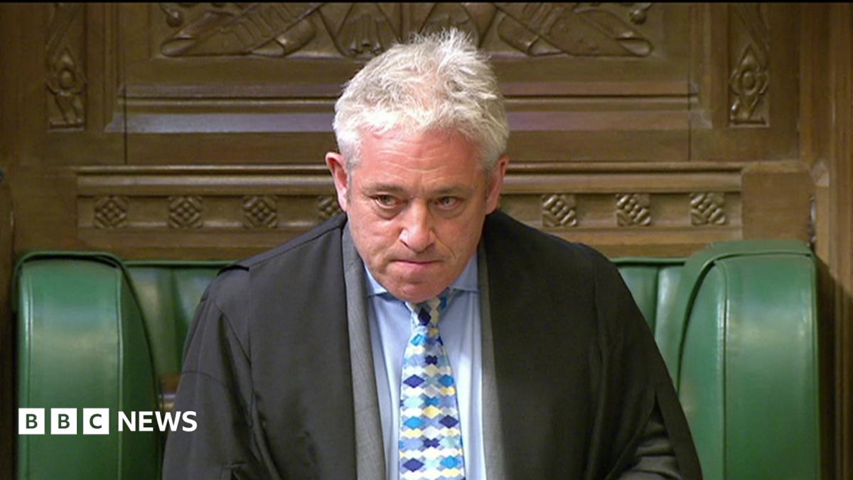 Speaker John Bercow admits muttering word 'stupid' - BBC News