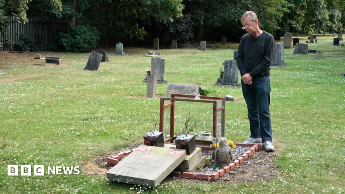 Hull cemetery vandalism 'devastating', family says - BBC News