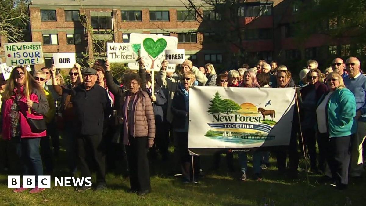 Protest over plans to split New Forest between two new councils - BBC News