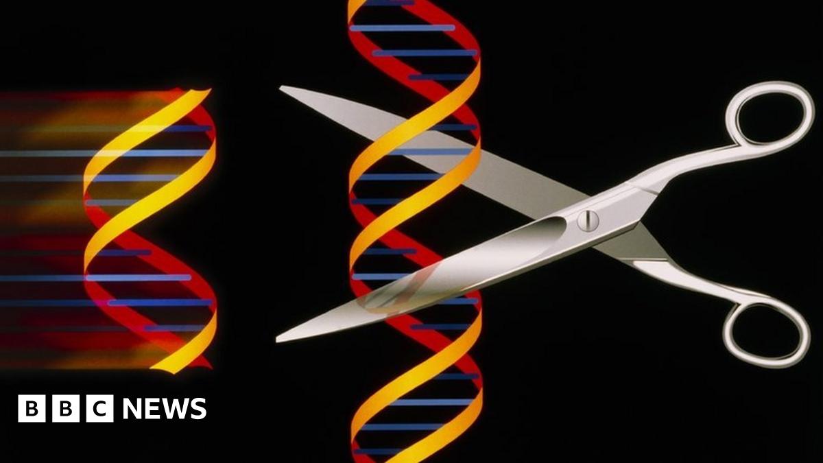 The promise of gene editing - BBC News