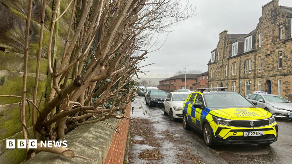 Two in court after man's death in Grangemouth - BBC News