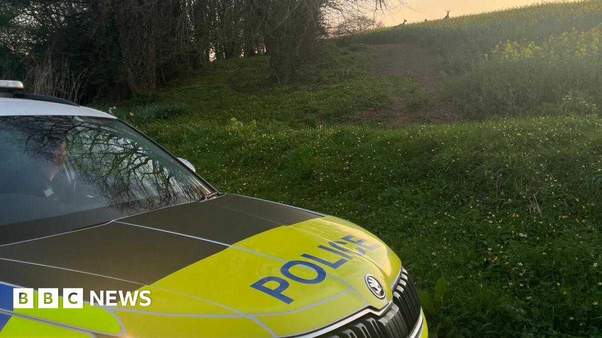 Deer poaching rumours in Teignmouth spark more police patrols - BBC News
